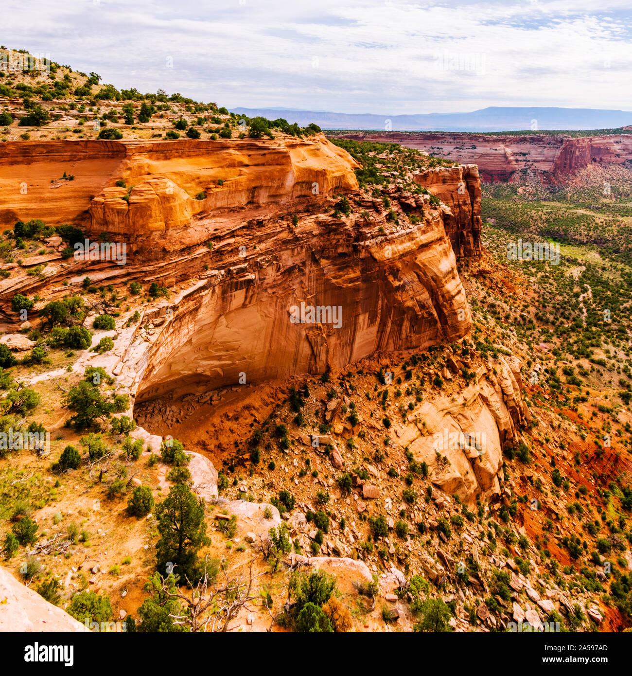Colorado National Monument, Grand Junction, Colorado Stock Photo - Alamy