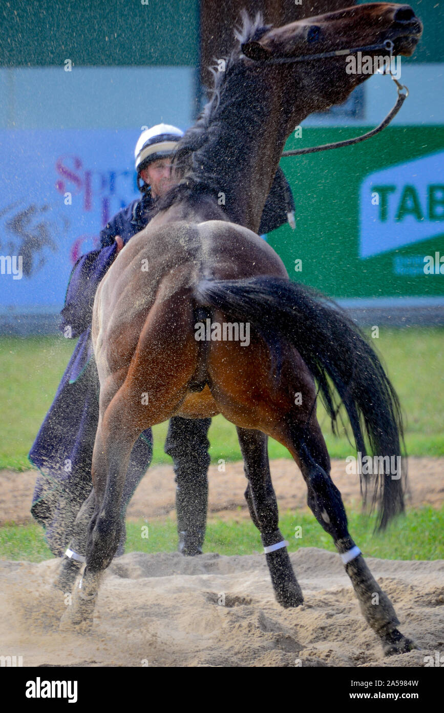 Melbourne racing carnival hi-res stock photography and images - Alamy