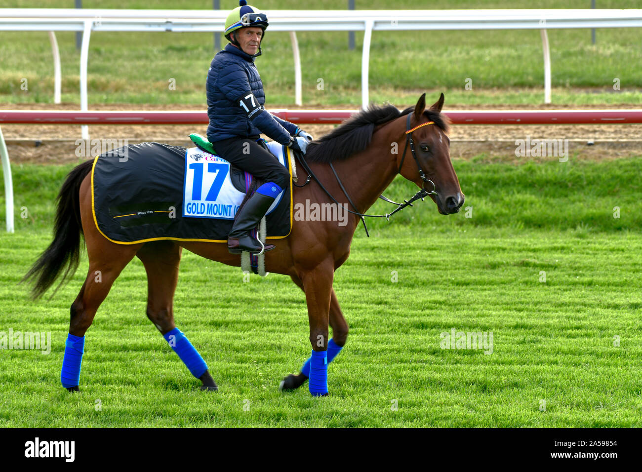 Melbourne Cup Horse Race, Spring Racing Carnival, International Horse ...