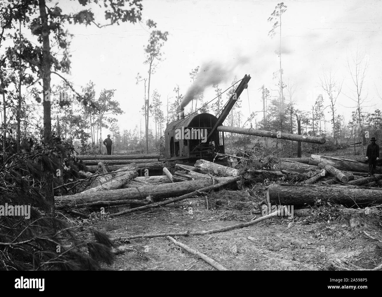 Loading lumber on train Black and White Stock Photos & Images - Alamy