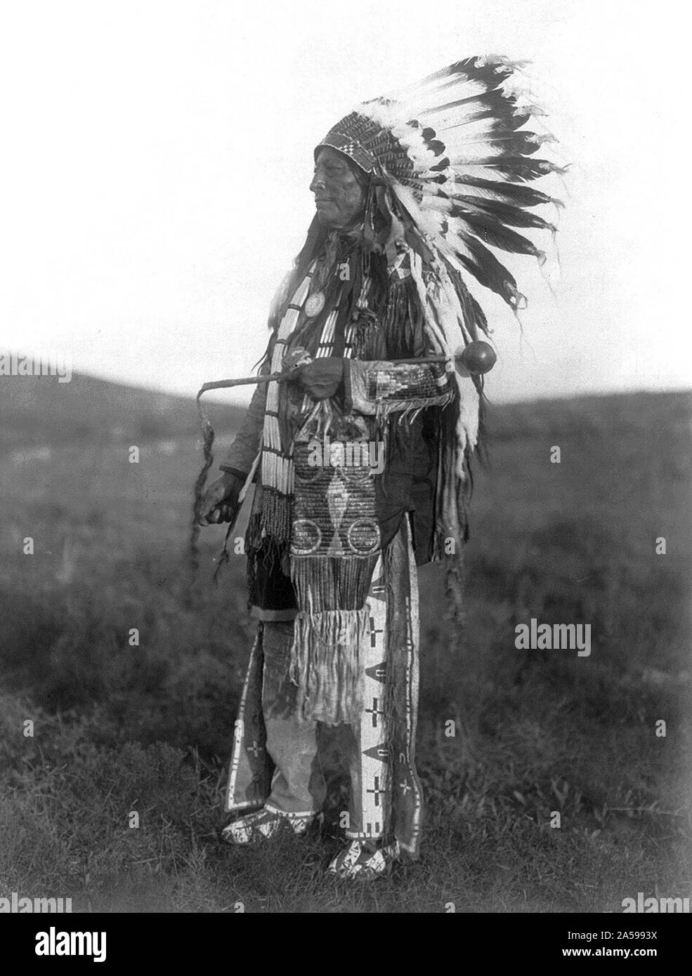 Native American Hawk