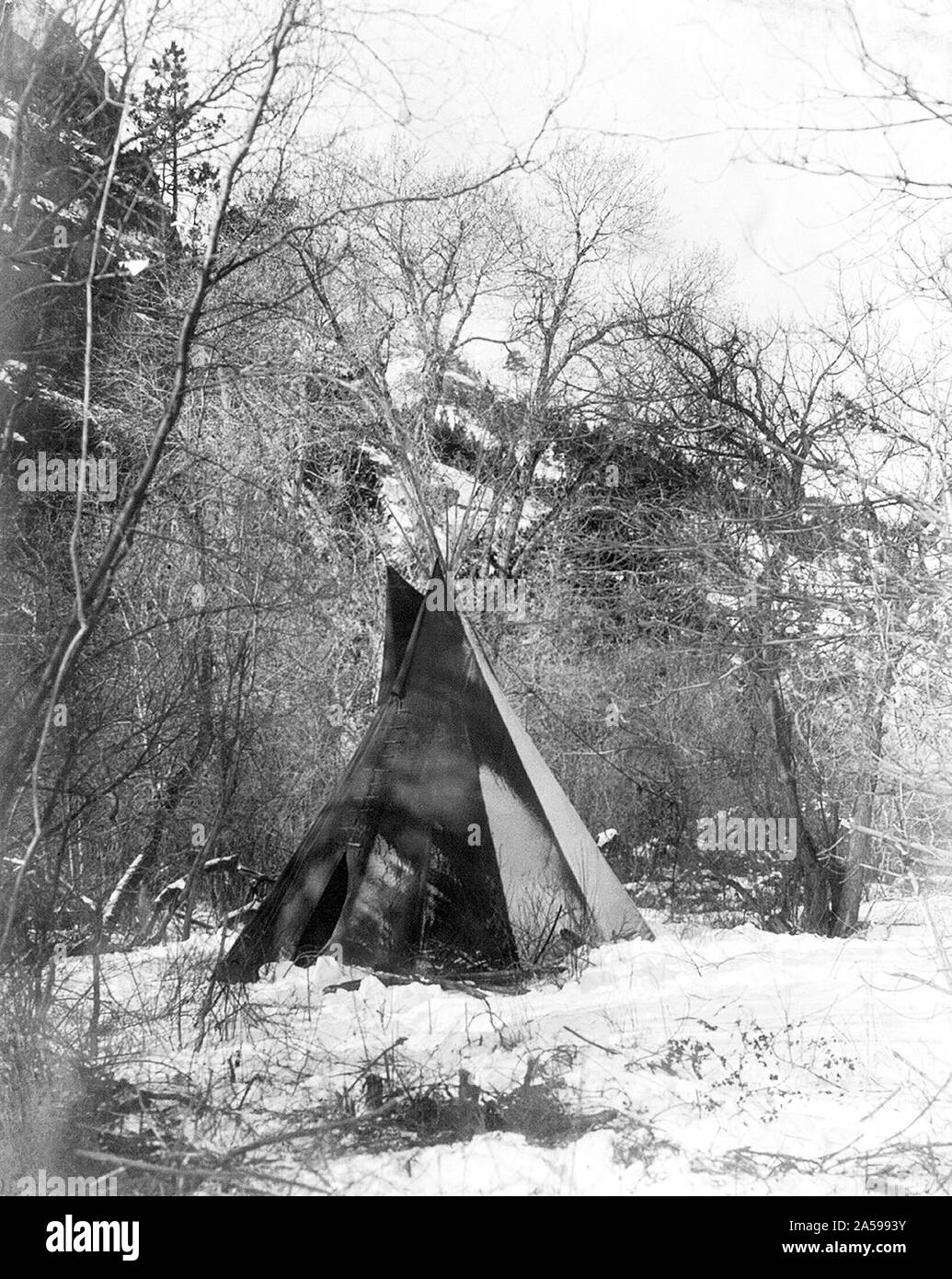 Edward S. Curtis Native American Indians - A Sioux Indian teepee in a ...