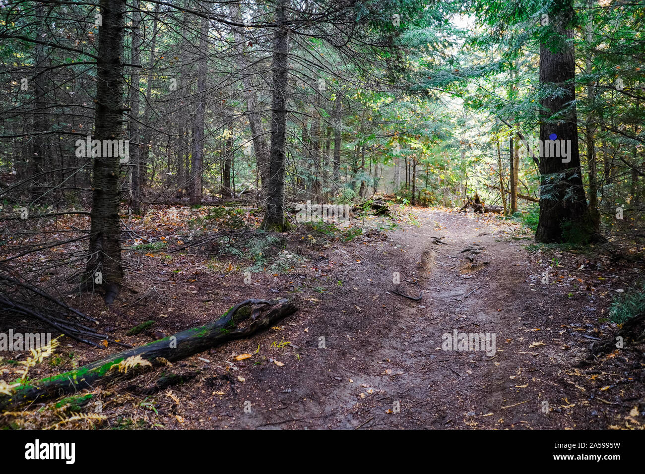 Wet hiking trail hi-res stock photography and images - Alamy