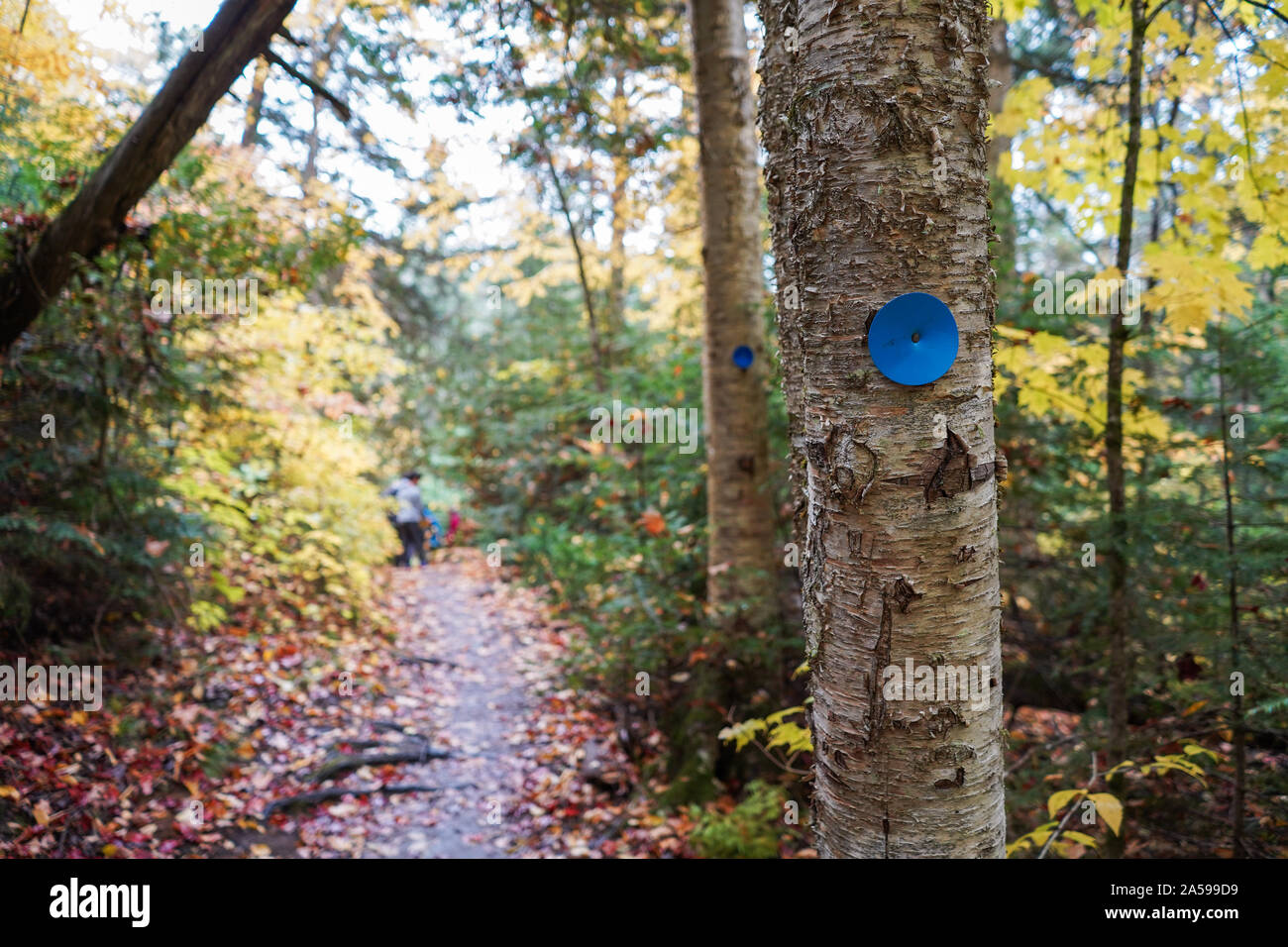 Right path hiking sign hi-res stock photography and images - Alamy