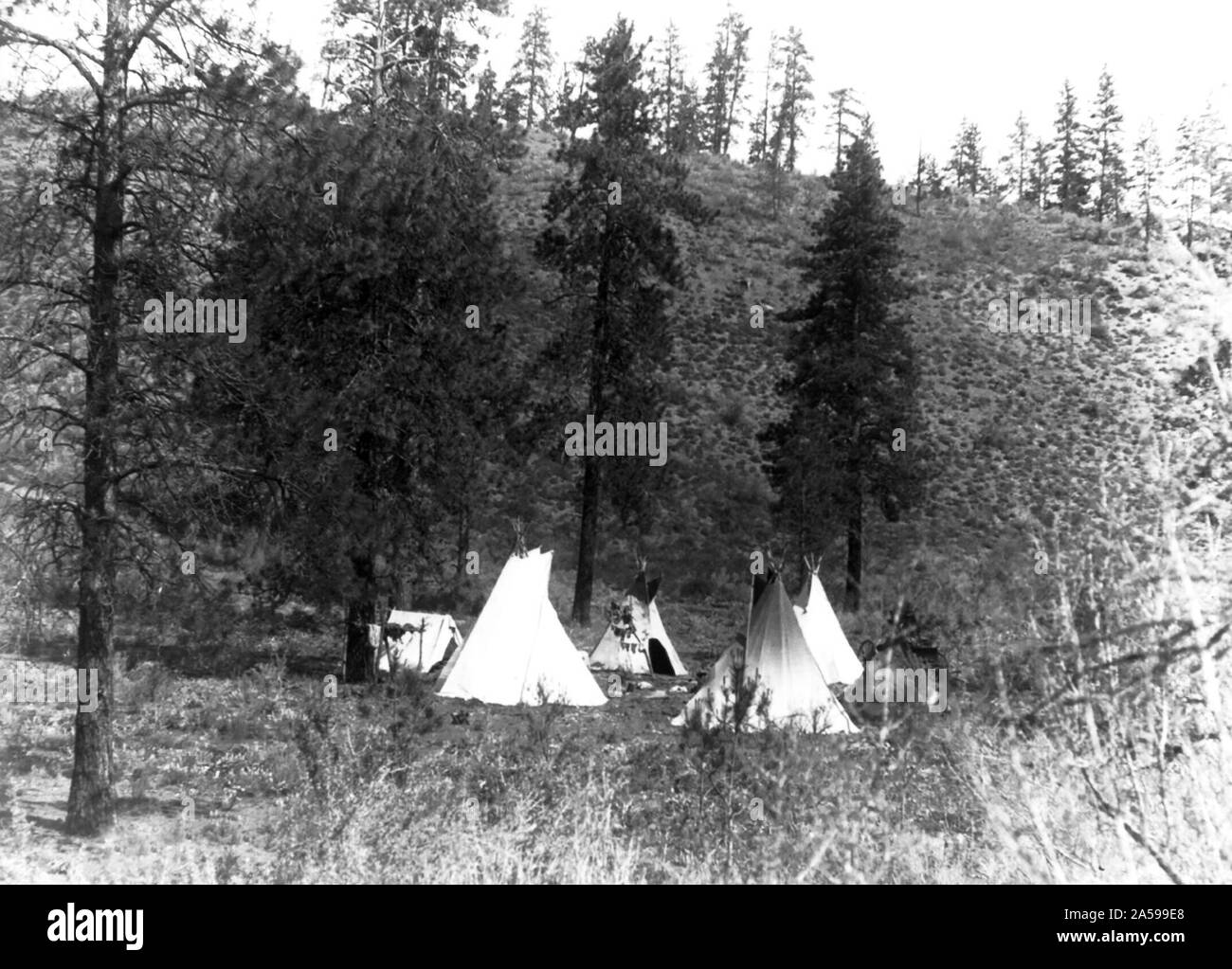 Edward S. Curtis Native American Indians - Tipis and a tent under trees ...
