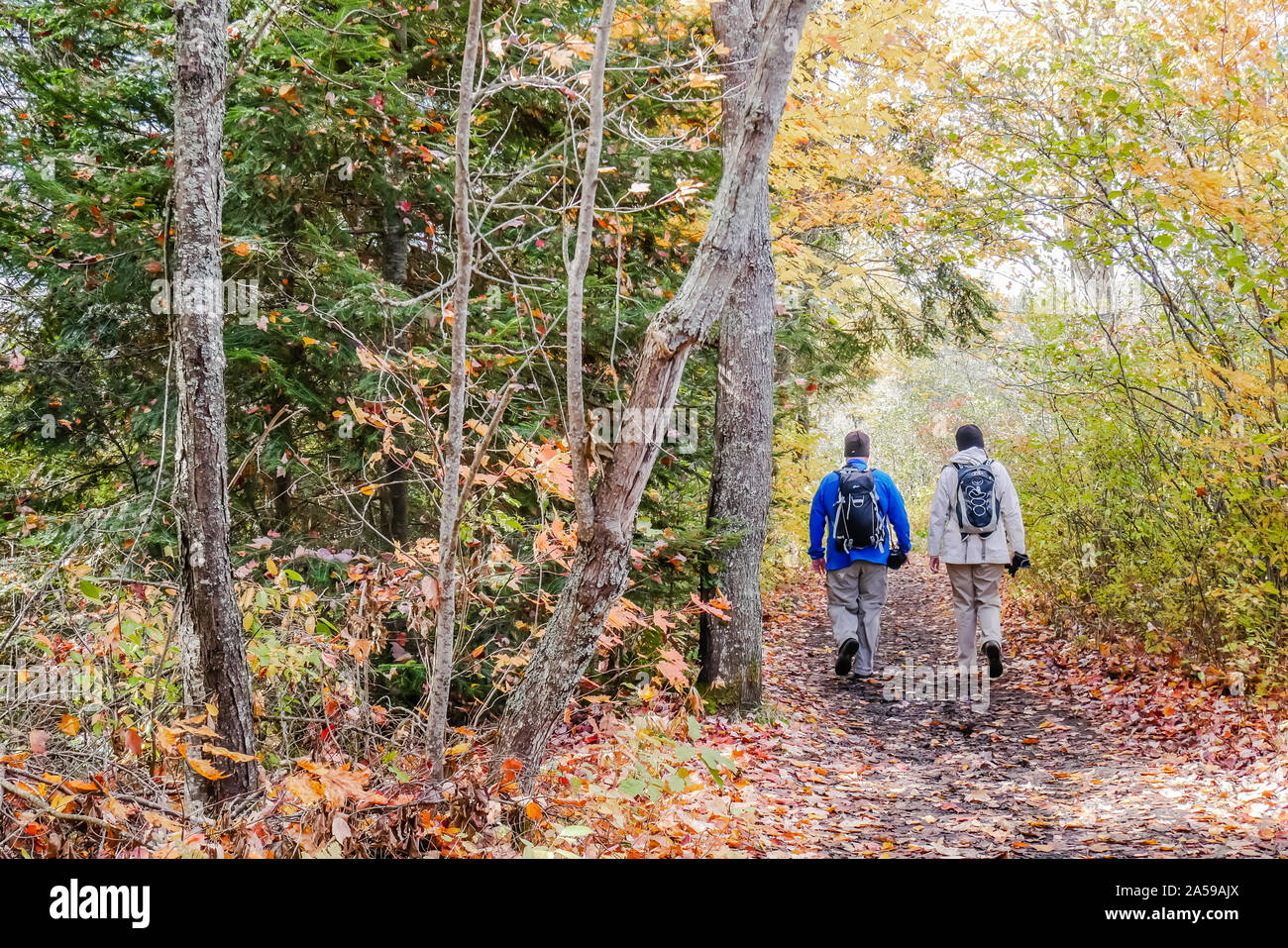 two hikers walking on a hiking trail in the fall season Stock Photo - Alamy