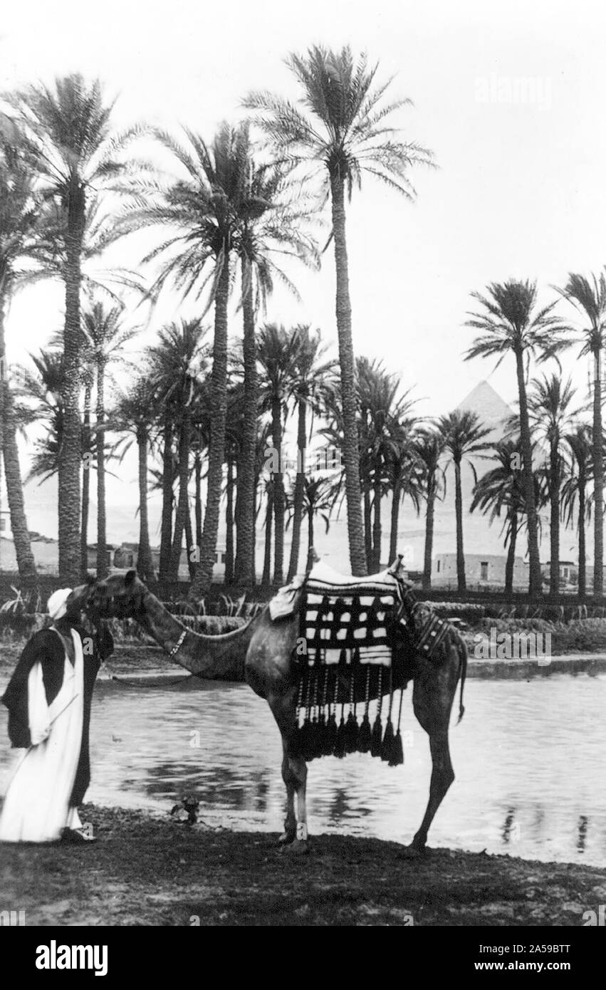 Village and palm trees by a lake with a pyramid in the distance, before ...