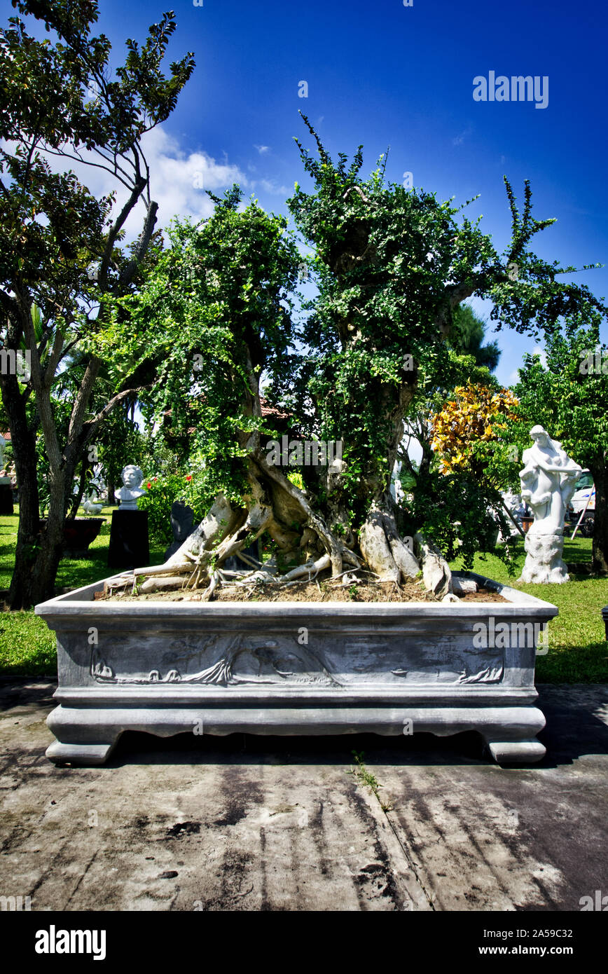 A good luck tree growing in a marble base. Stone and rock carvings from ...