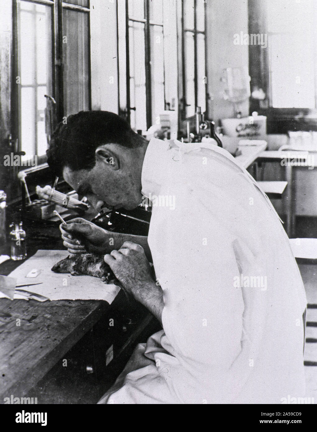 1910s lab tech hi-res stock photography and images - Alamy