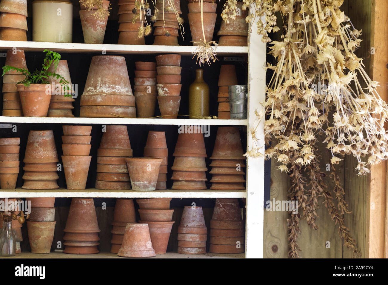 clay plant pots in a garden shed Stock Photo - Alamy