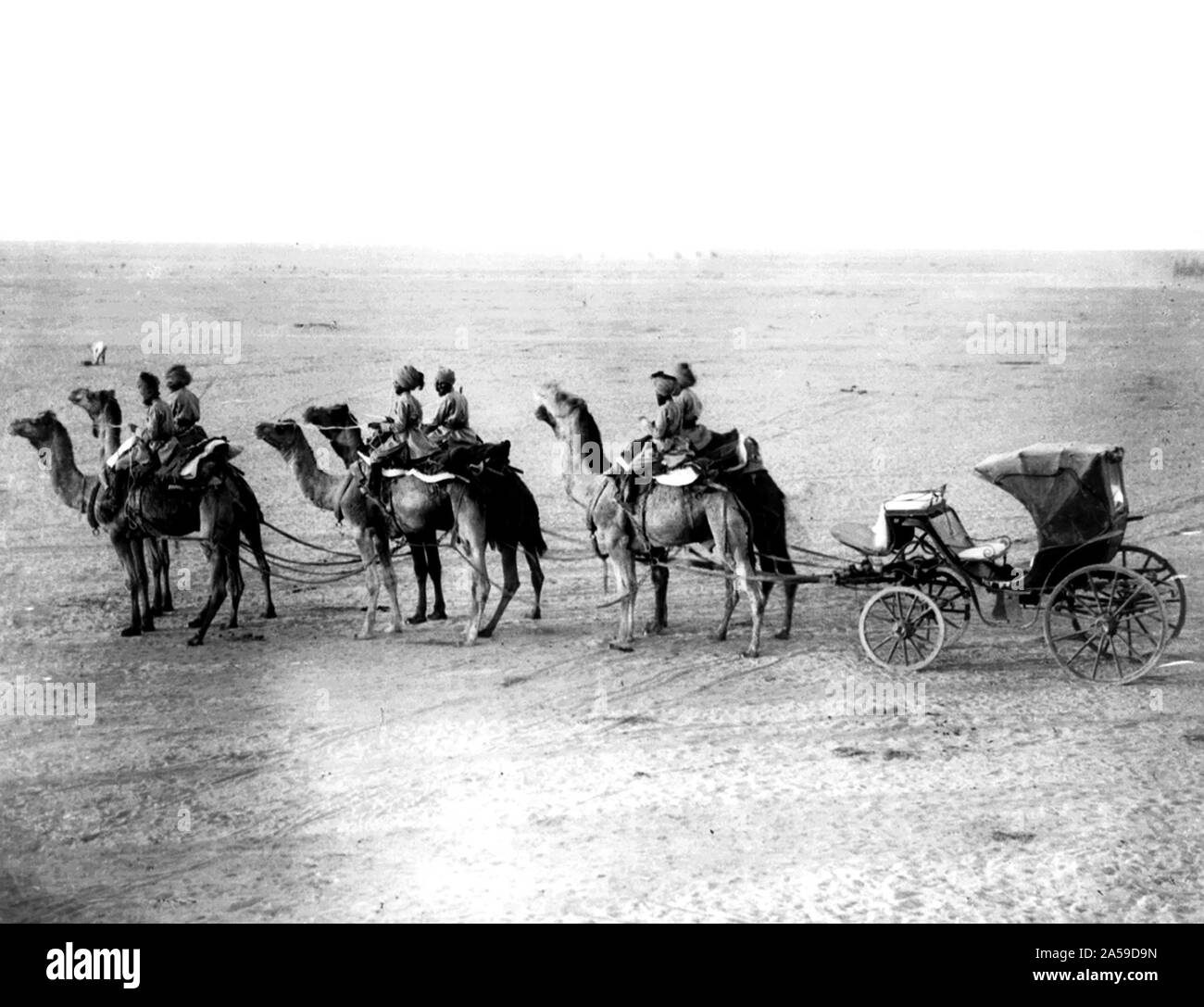 India - camel drawn carriage. 1890-1923 Stock Photo - Alamy