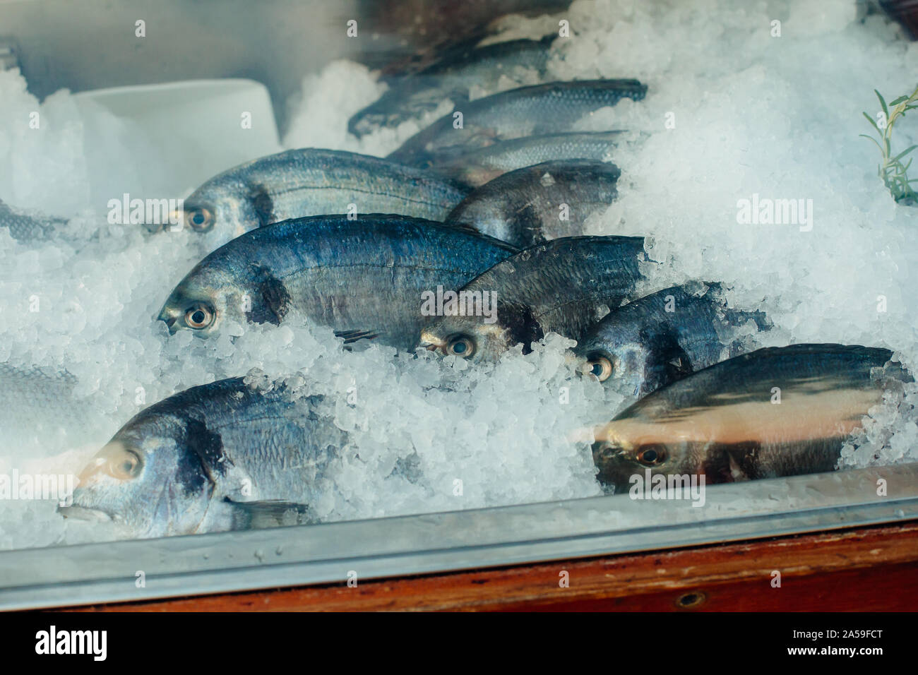 Fresh raw fish in fridge of supermarket or restaurant in ice. Seafood ...