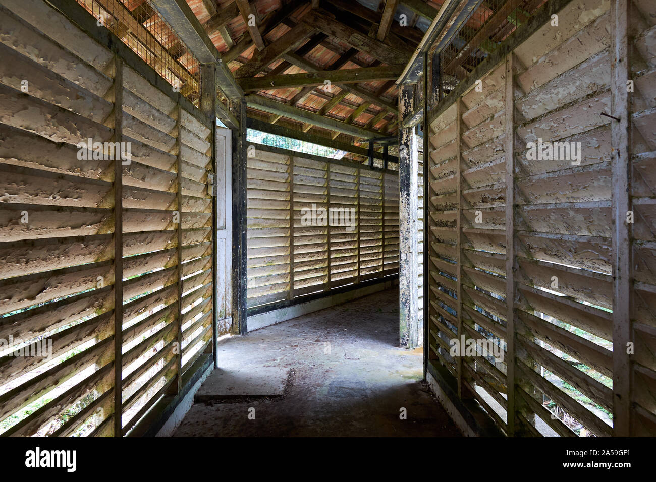 Light filters through thick wooden slats between old buildings in ...