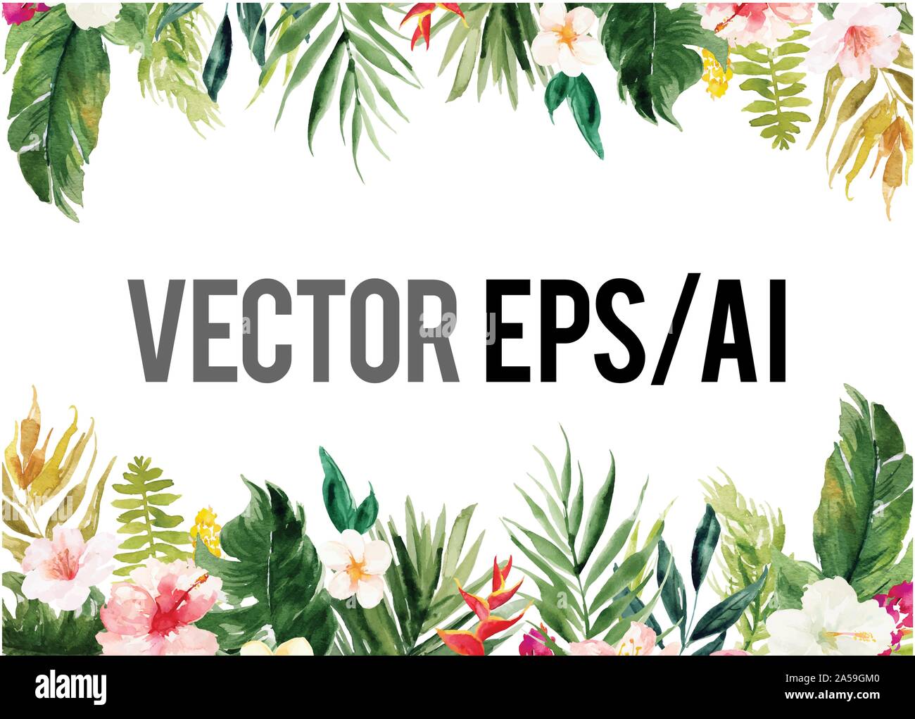 Colorful flower border hi-res stock photography and images - Alamy