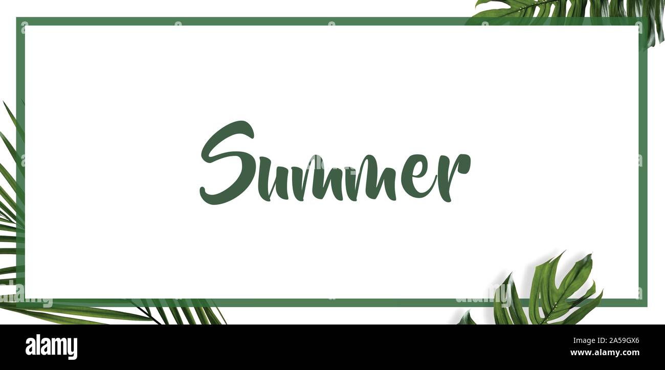 Palm design plate Stock Vector Images - Alamy