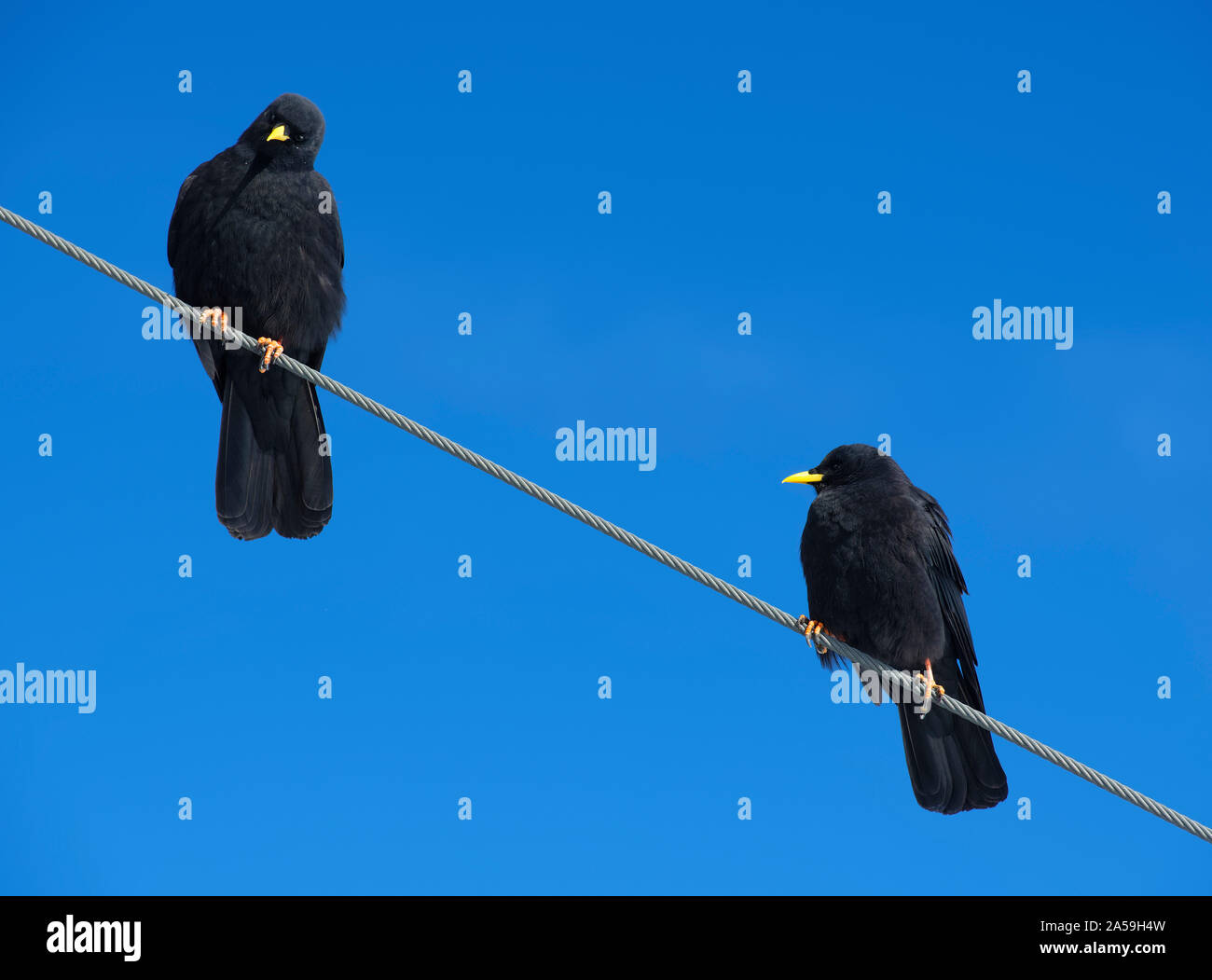 Switerland hi-res stock photography and images - Alamy