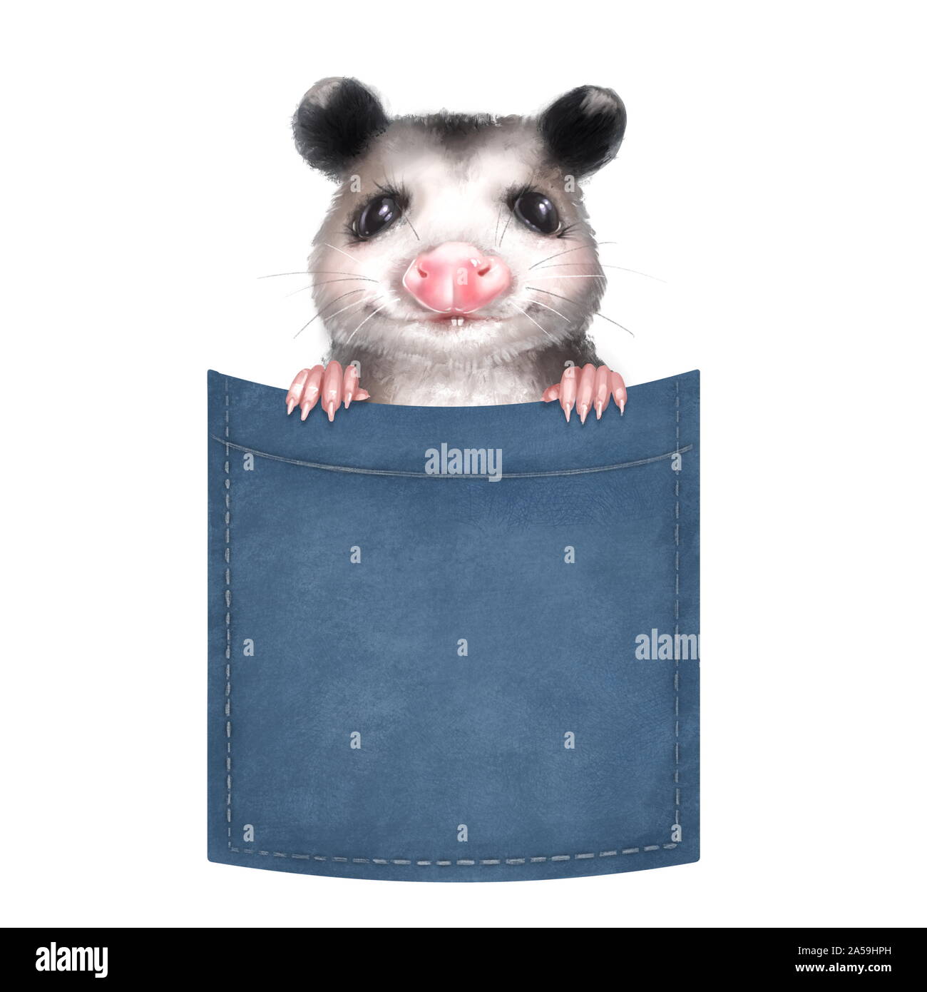 Pocket pet Cut Out Stock Images & Pictures - Alamy