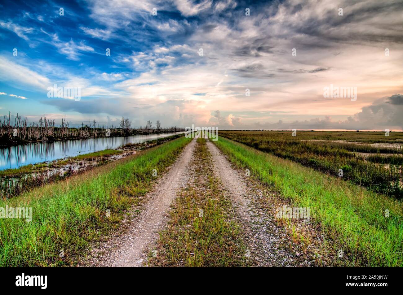 Green wet muddy field with a long lake under the colorful sky looking ...