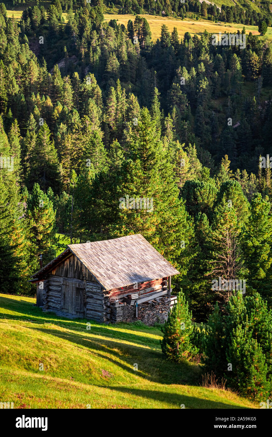 Wooden hut in forest at Passo delle Erbe, Dolomites Stock Photo - Alamy