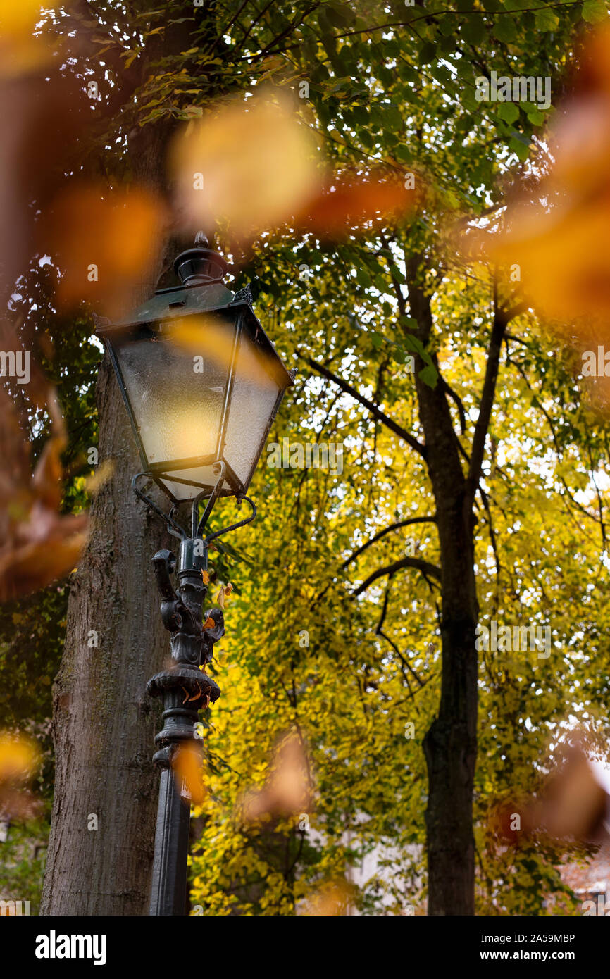 Burning Lamppost with falling leafs in the autumn, colorful golden ...
