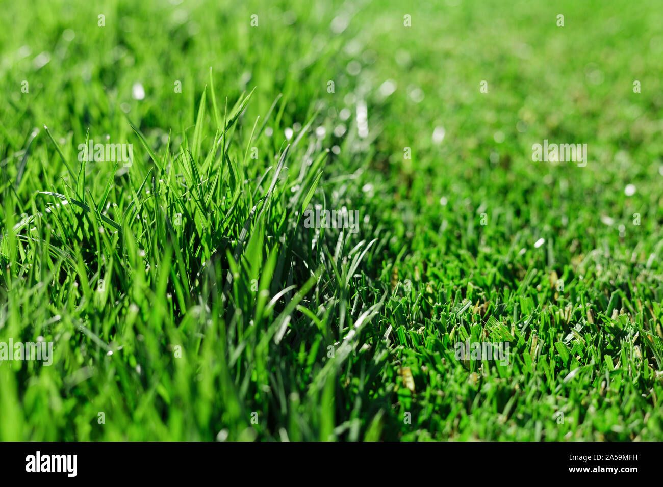 Partially mowed hi-res stock photography and images - Alamy