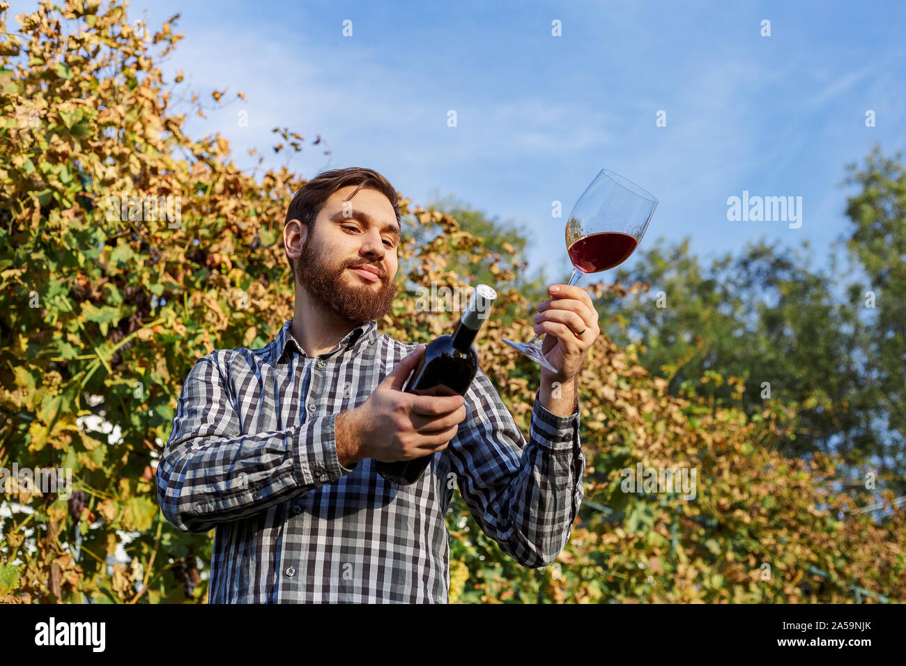 Man hand holding wine glass hi-res stock photography and images - Alamy