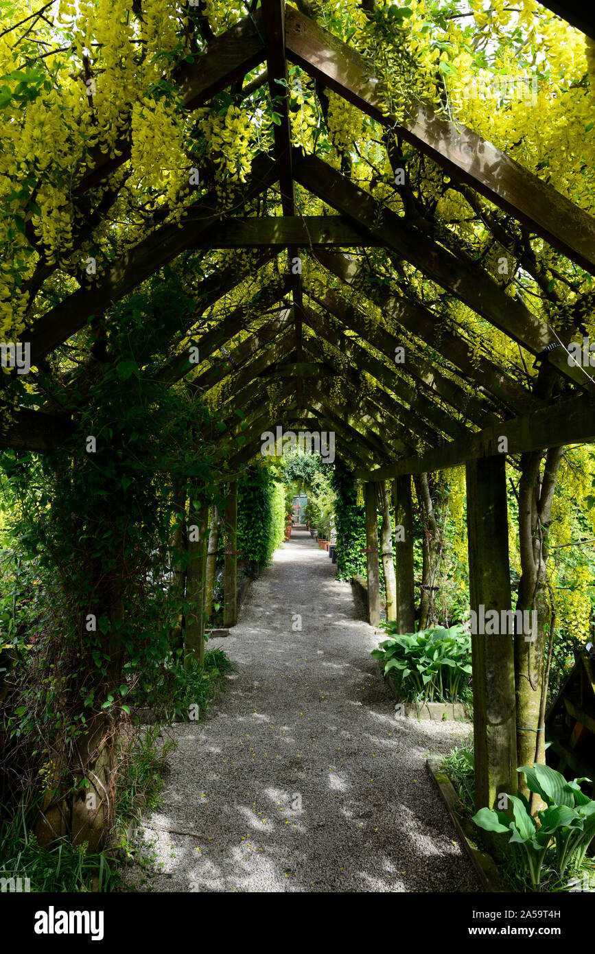 Feature plant garden hi-res stock photography and images - Alamy