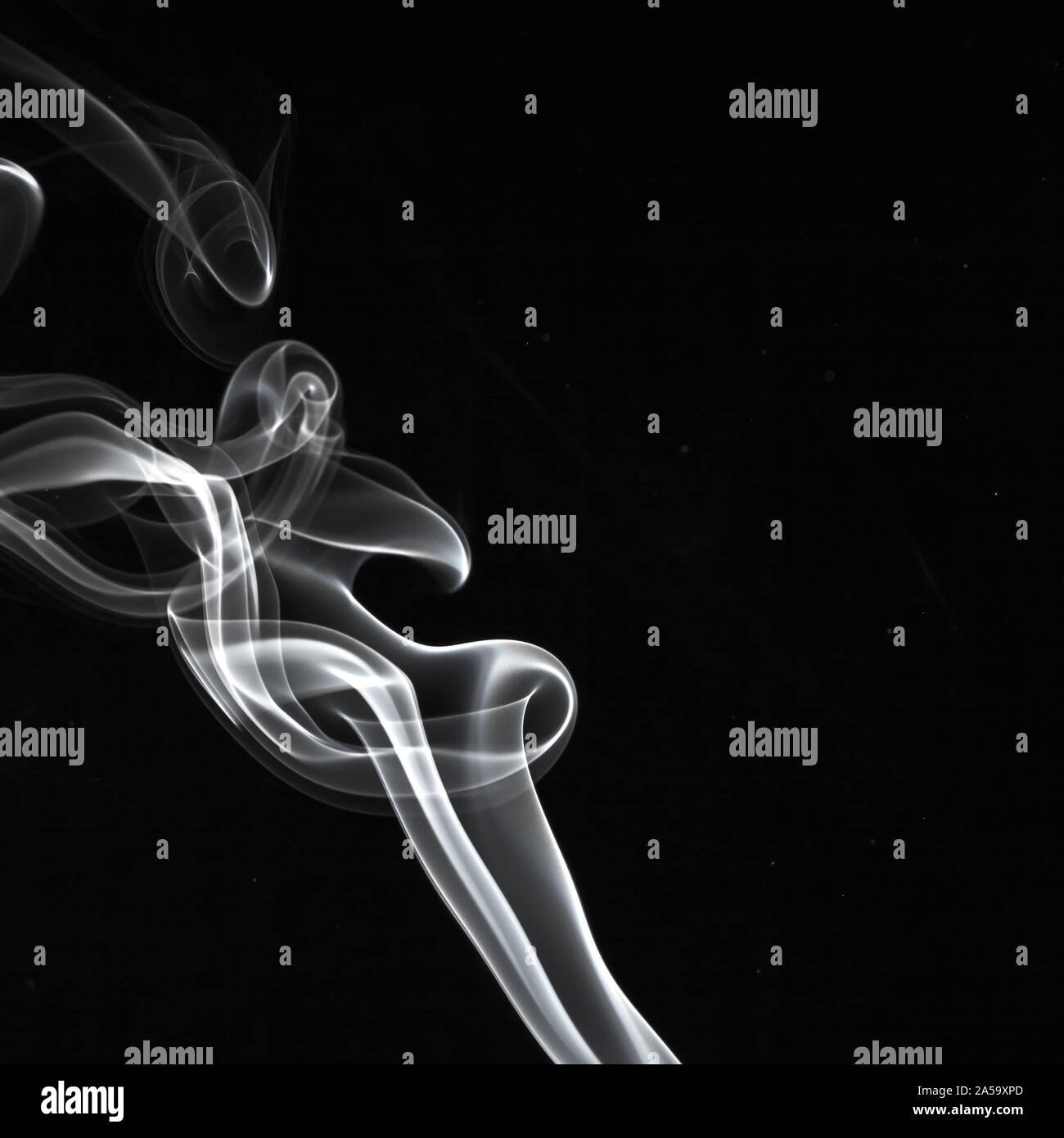 Abstract white smoke swirls pattern over the black background Stock ...