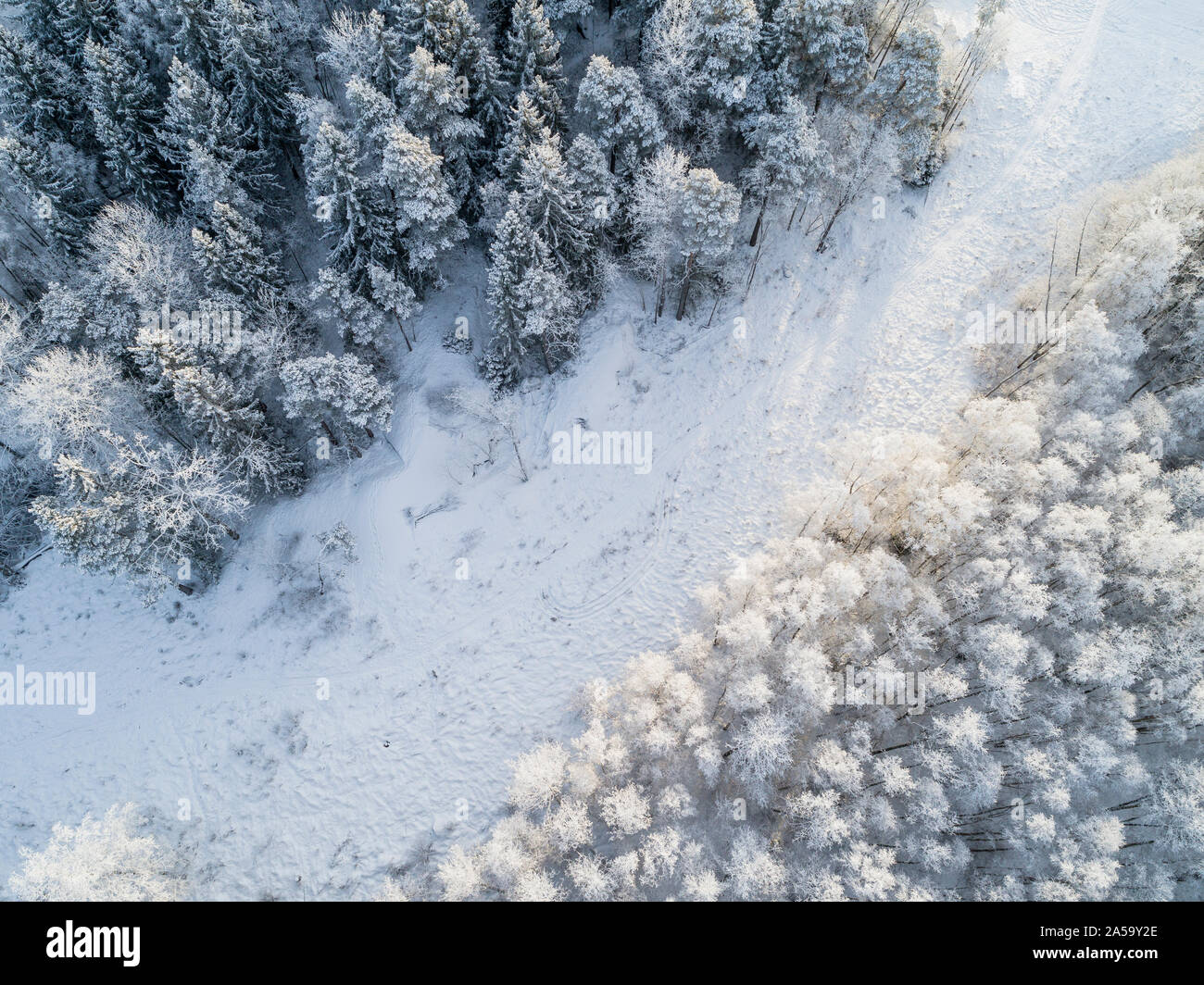 Firebreak Forest High Resolution Stock Photography and Images - Alamy