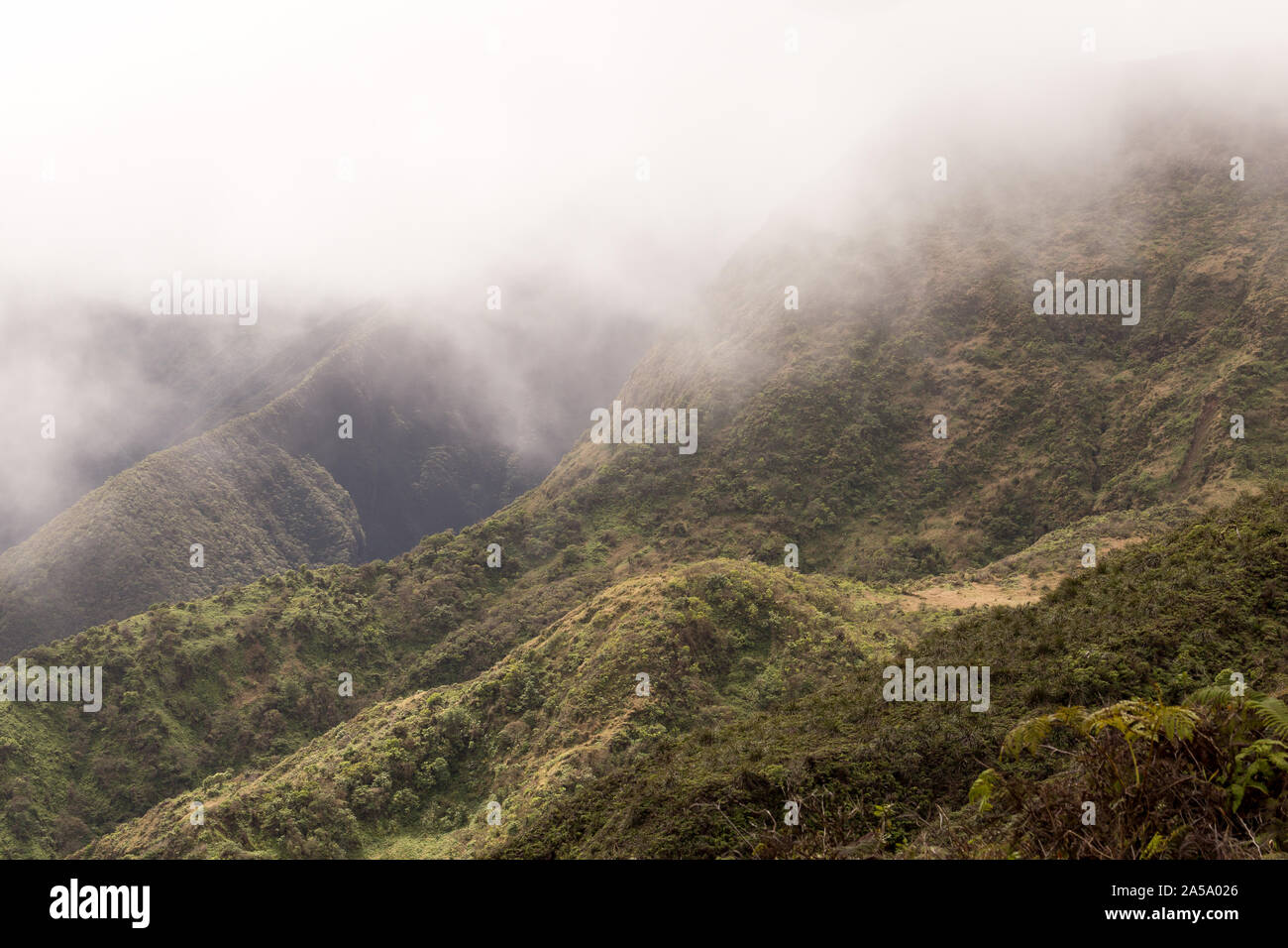 Jungle and cliffs in Maui with some fog Stock Photo - Alamy