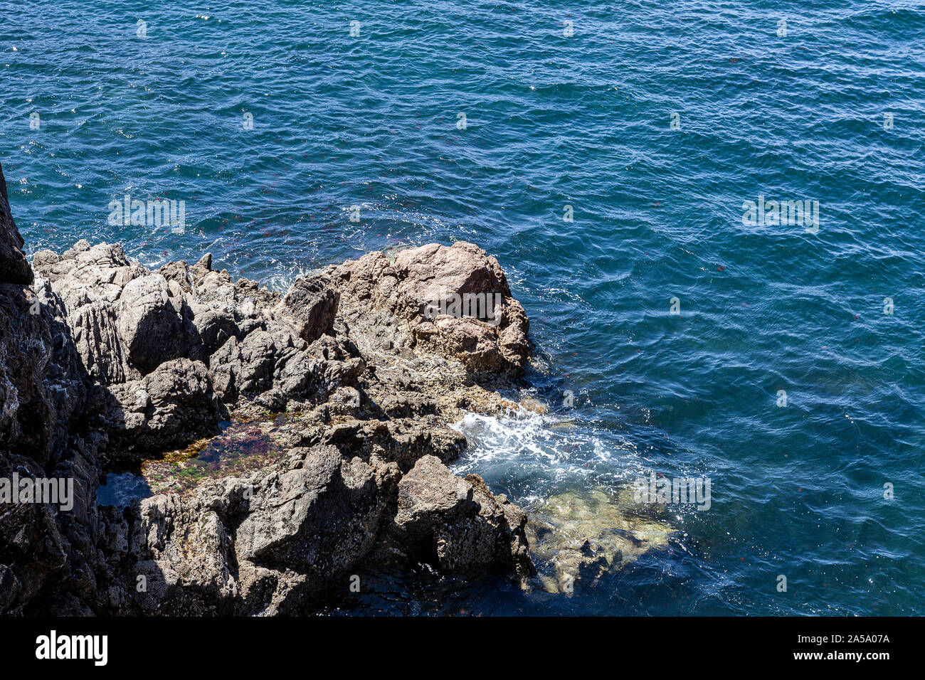Puddle of crystal clear water with red and green algae on a cliff ...