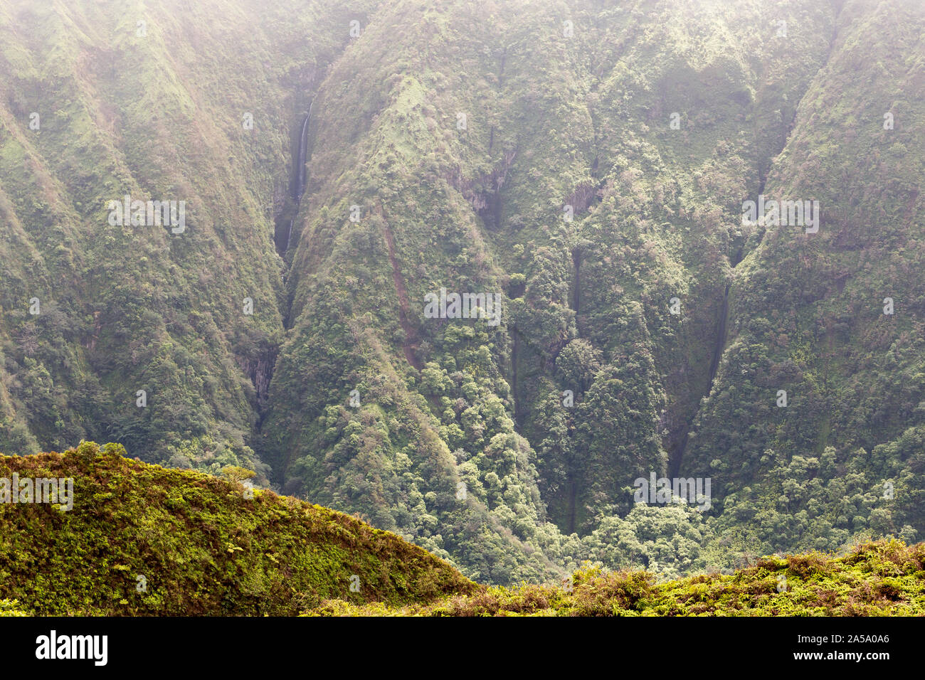 Jungle and cliffs in Maui with some fog Stock Photo - Alamy