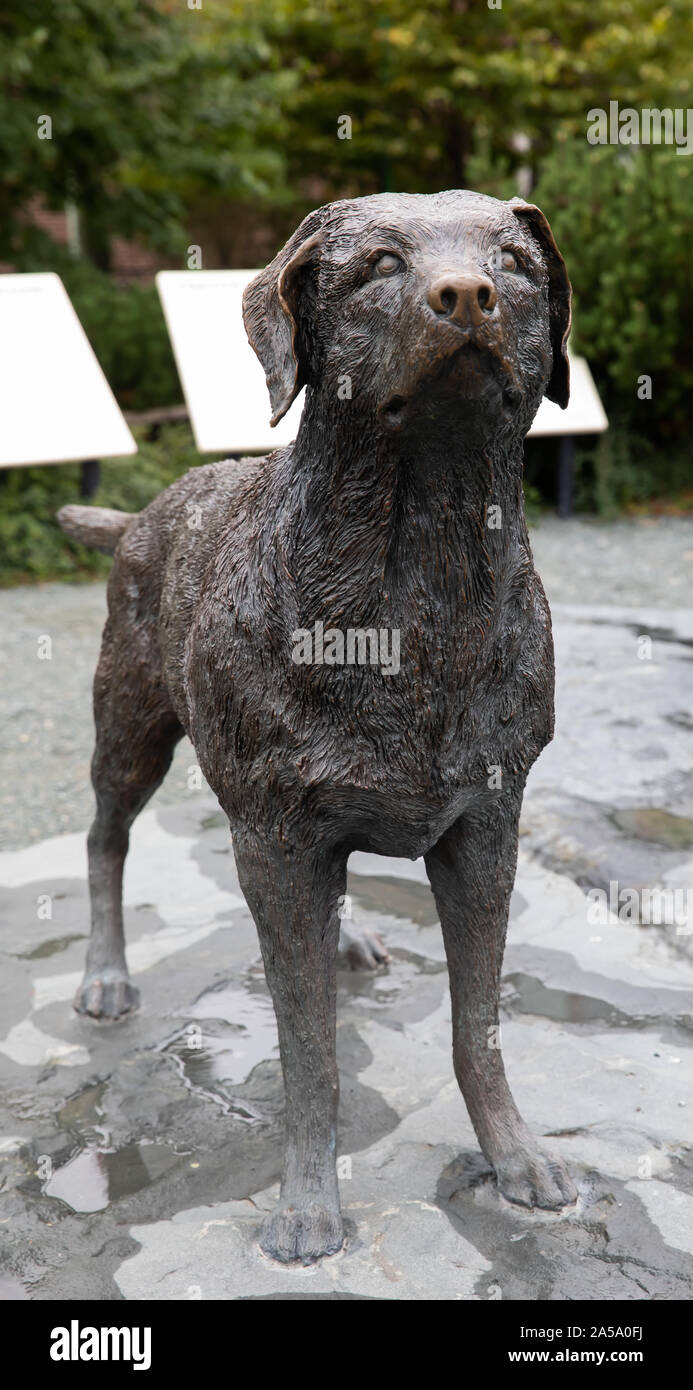 Newfoundland dog statue hi-res stock photography and images - Alamy