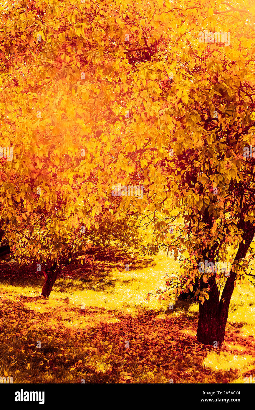 Seasonal travel, retro backdrop and rural environment concept ...