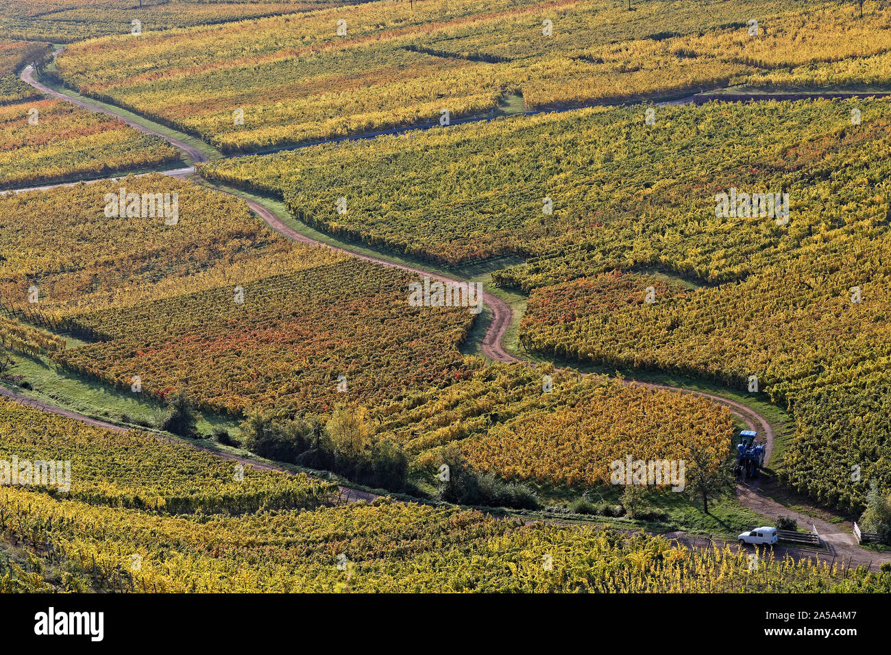 Alsace autumn landscape hi-res stock photography and images - Alamy