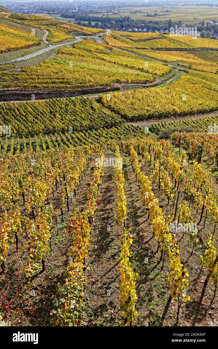 Route des vins hi-res stock photography and images - Alamy