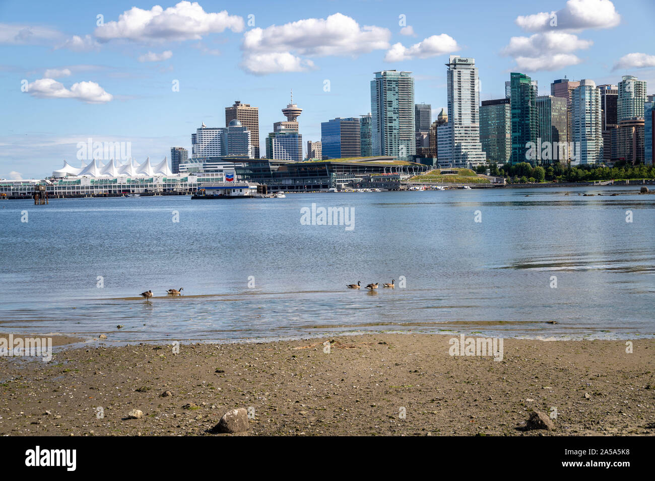 Vancouver stanley park aerial hi-res stock photography and images - Alamy