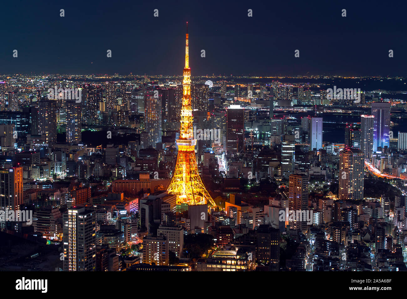 TOKYO - DEC 30: Amazing panoramic view to city centre of Tokyo in the ...