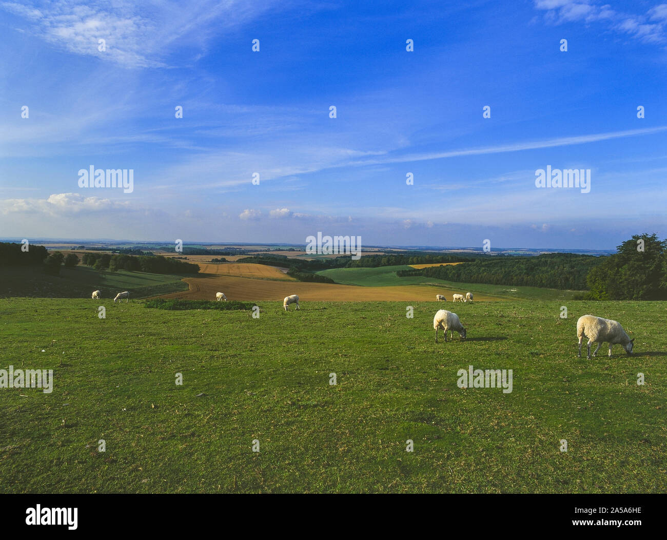 Hampshire border hi-res stock photography and images - Alamy