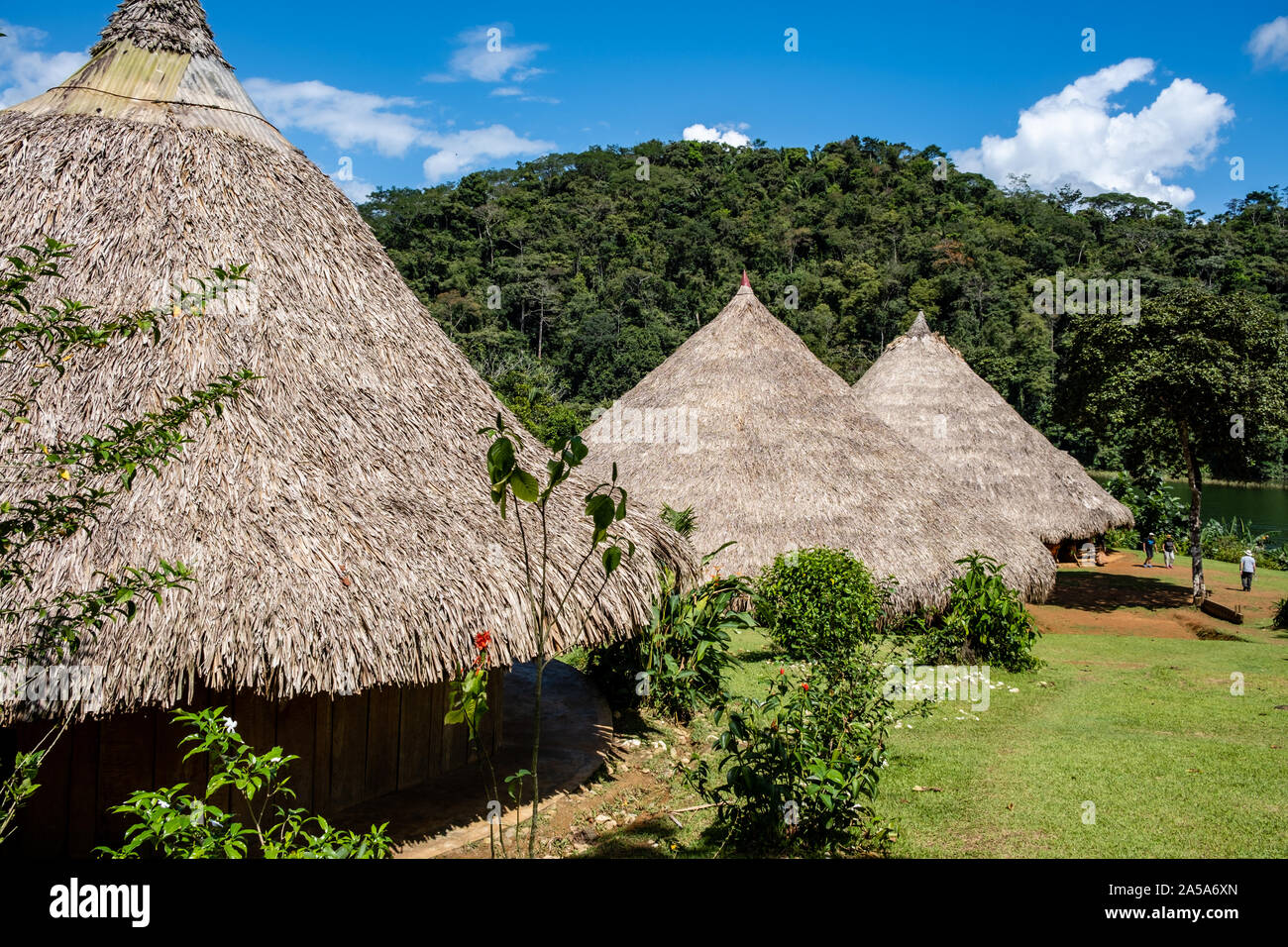 Thatched huts, Native indian homes at the Embera Indian village. Embera ...
