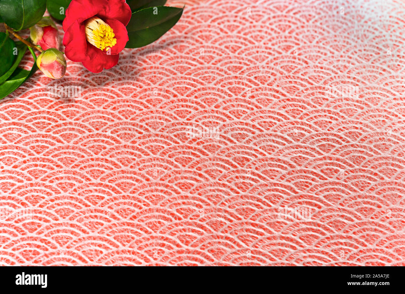 A Japanese greeting card with Tsubaki flower also called the winter ...