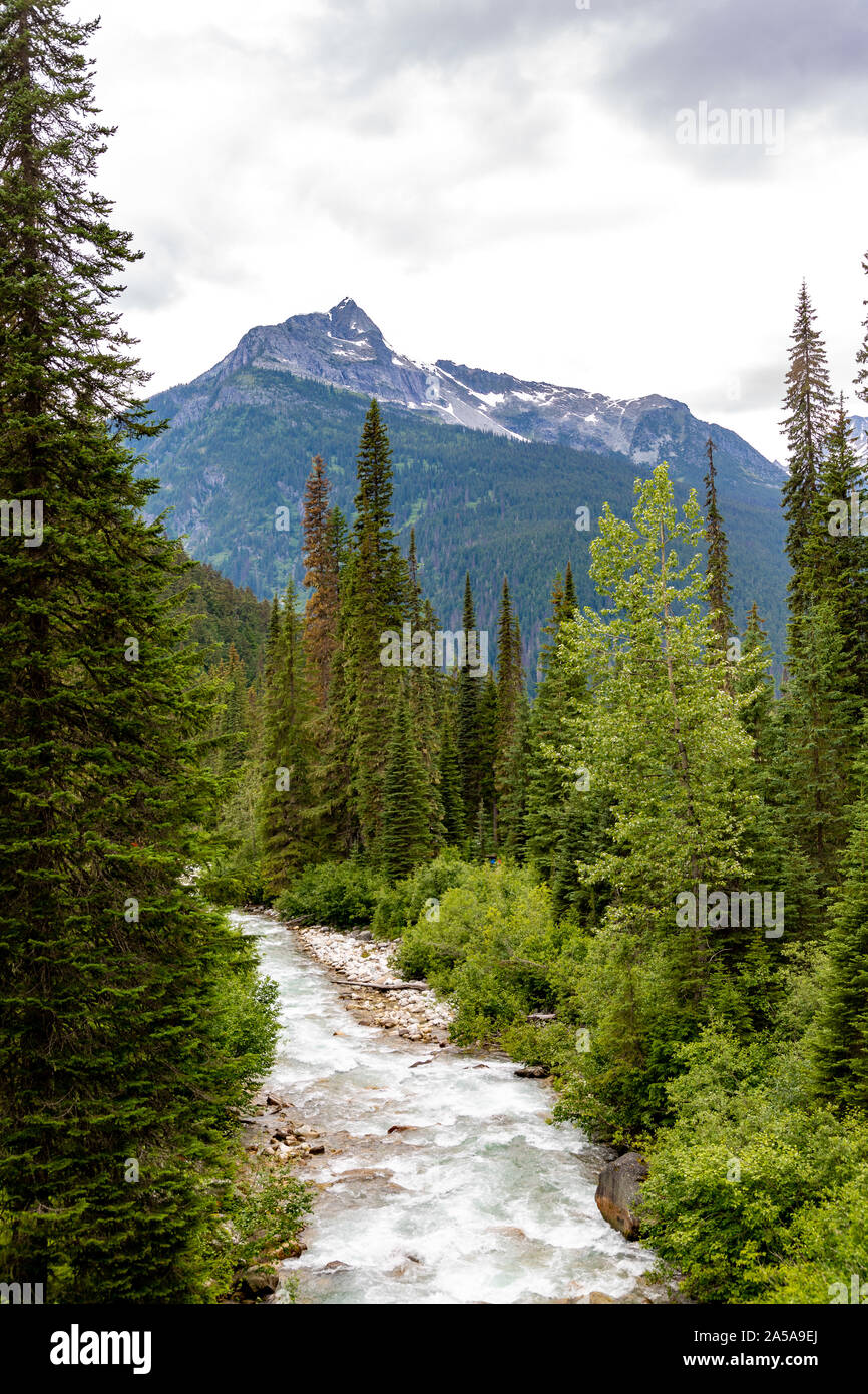 Rogers pass highway hi-res stock photography and images - Alamy
