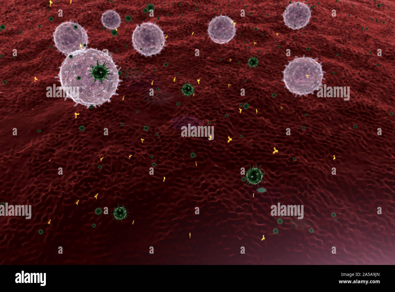 Chromosome micrograph hi-res stock photography and images - Alamy