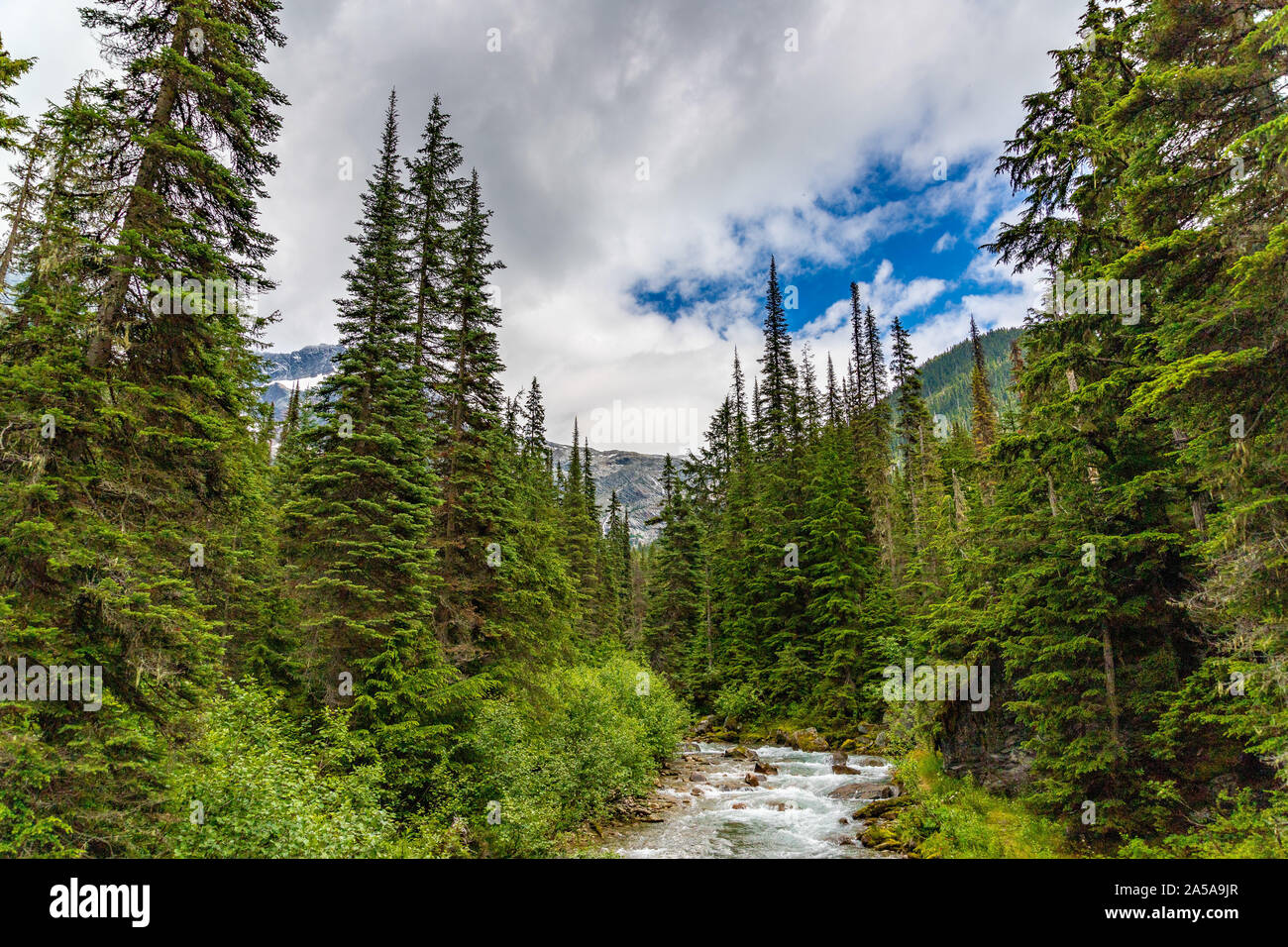 Rogers pass highway hi-res stock photography and images - Alamy
