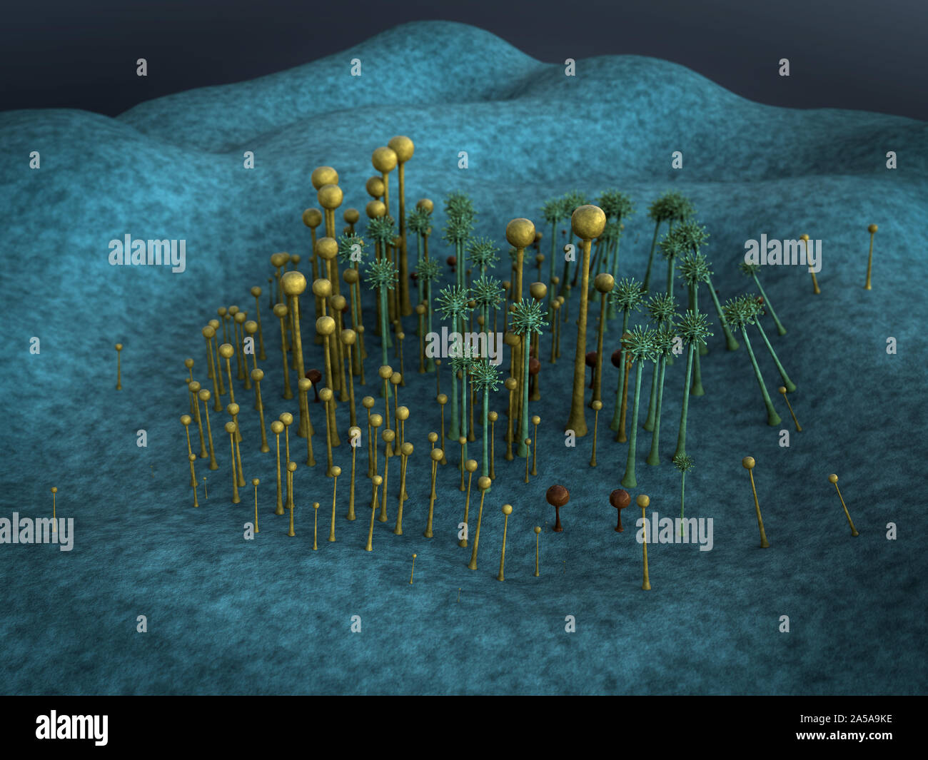 3D illustration of fungus spores, ffungus releases spores, landscape of ...