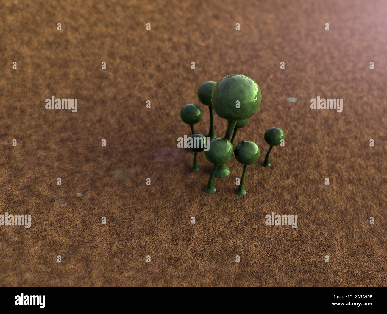 fungus growing, growth of the fungus, viruses and bacteria, mycelium ...