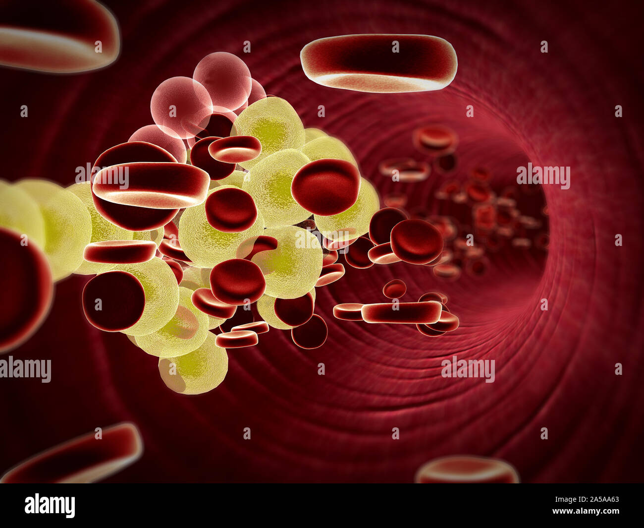 inside the blood vessel, High quality 3d render of blood cells ...