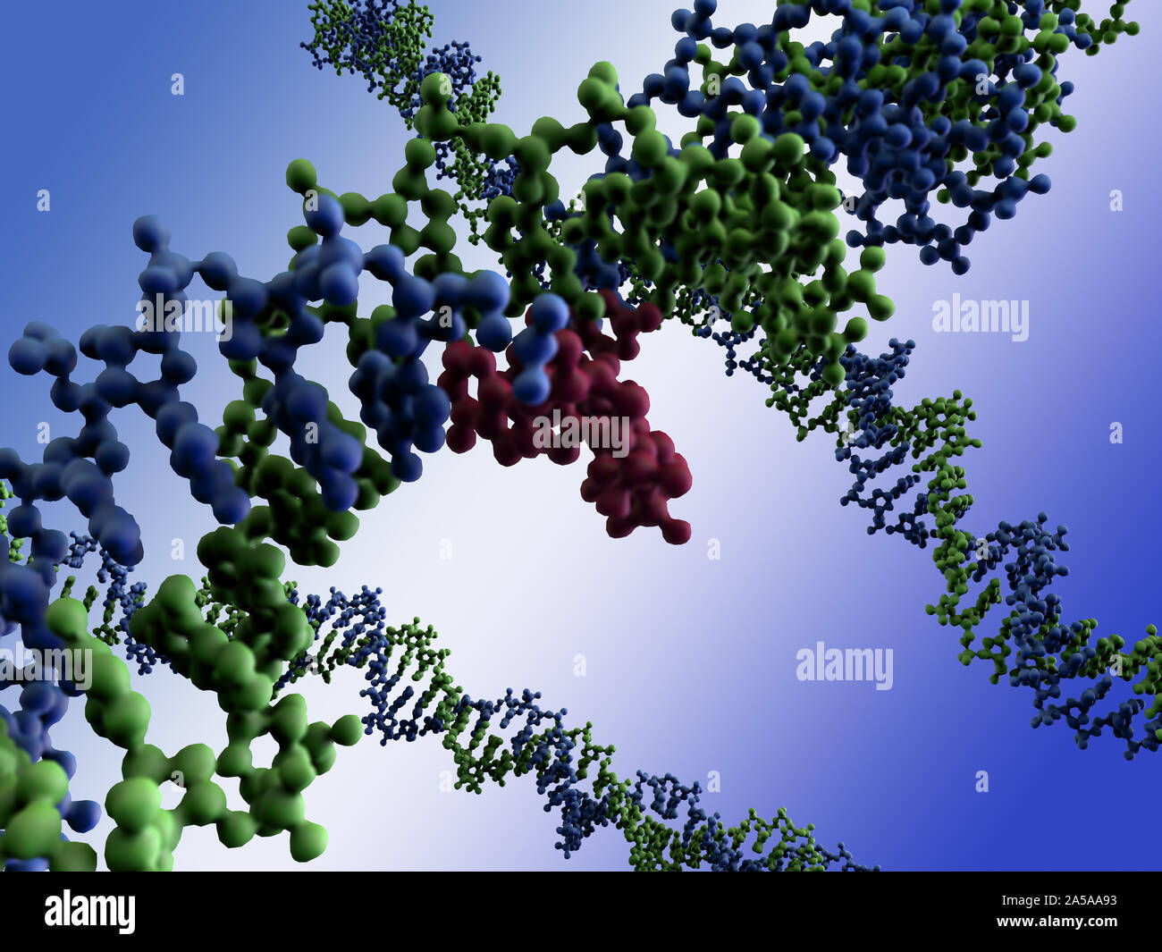 DNA close-up, DNA Strands, DNA animation Stock Photo - Alamy