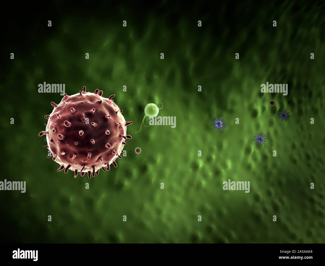 cancer cell, 3d rendered cancer cell, Clusters of cells, Cancer cell ...
