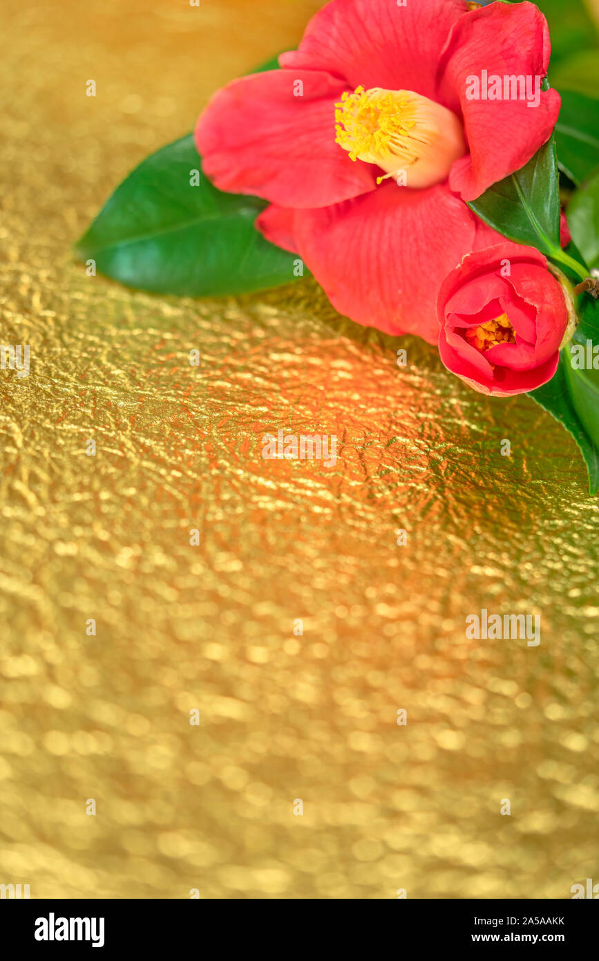 A Japanese greeting card with a Tsubaki flower also called the winter ...